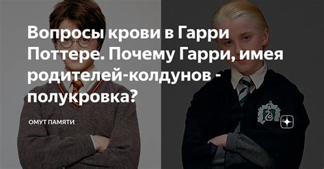 Вопросы крови в Гарри Поттере Почему Гарри имея родителей колдунов полукровка Омут памяти