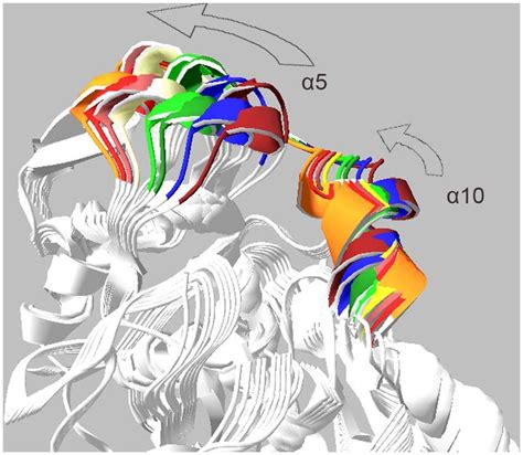 Structure Snapshots Of Normal Mode Analysis Superimposed Snapshots Of