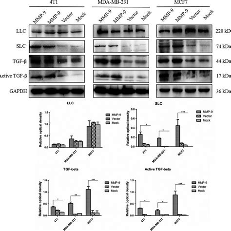 Alterations Of The Cellular Transforming Growth Factor Beta Tgf‐β And