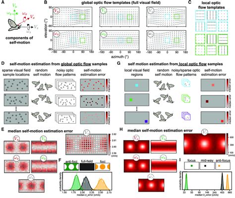 Spatial Biases In Optic Flow Sampling For Self Motion Estimation Download Scientific Diagram