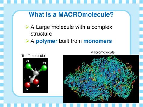 Ppt Chapter 5 The Structure And Function Of Macromolecules Powerpoint