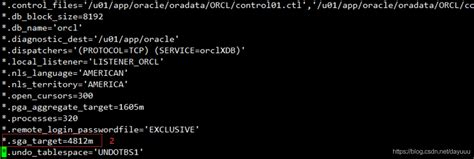 解决oracle数据库报错ora 27104 System Defined Limits For Shared Memory Was