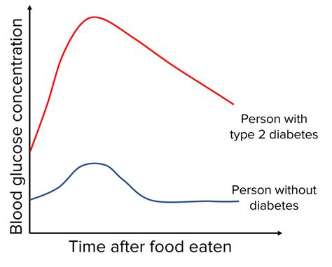 Control Of Blood Glucose Questions And Revision Mme