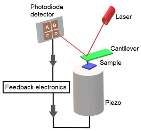 Basic Principles And Operation Modes Of Afm Encyclopedia Mdpi