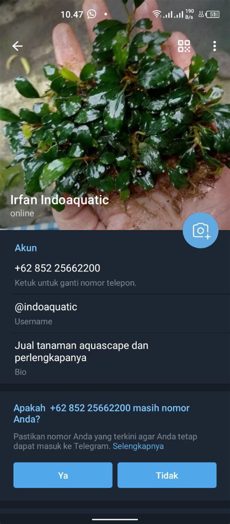 Cara Membuat Username Id Telegram Dengan Mudah