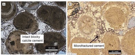 Thin Section Micrographs For 125 Ka Eolianite Sample Wc Abc 6 A Download Scientific Diagram