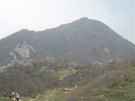 翠微山 快懂百科