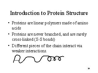 Introduction To Protein Structure