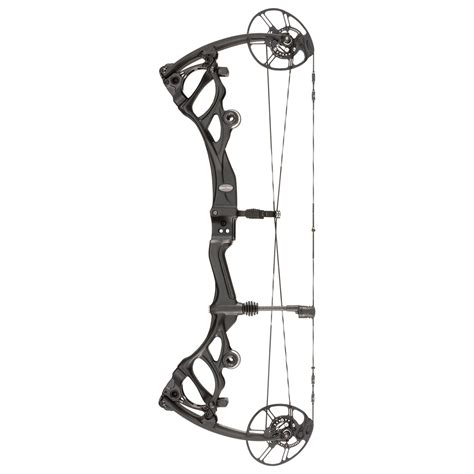 All Compound Bows Archers Edge