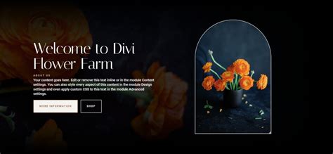 how to style an image in your divi fullwidth header module ask the