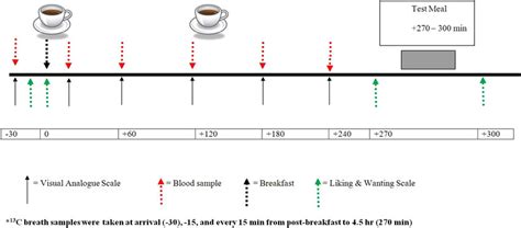 Schematic Of Experimental Trials Download Scientific Diagram
