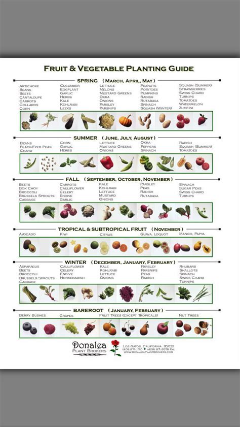 Usda Fruit And Vegetable Manual
