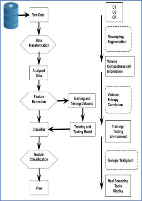 The Shapes On The Left Depict The Classification Process The