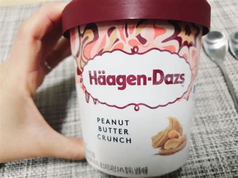 Gs편의점 하겐다즈 피넛버터 크런치 프레첼 솔티카라멜맛 여수언니 정혜영 추천 꿀조합 네이버 블로그