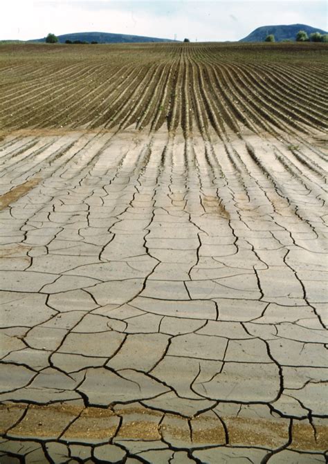 Soil Sciences Relationships ResearchGate