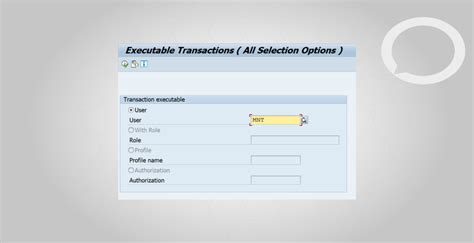 How To Check Roles In Sap Hicron