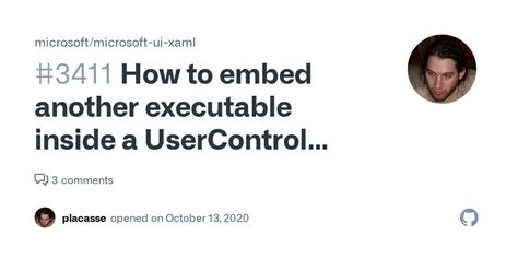 How To Embed Another Executable Inside A Usercontrol With Winui 3 Desktop Win32 · Issue 3411