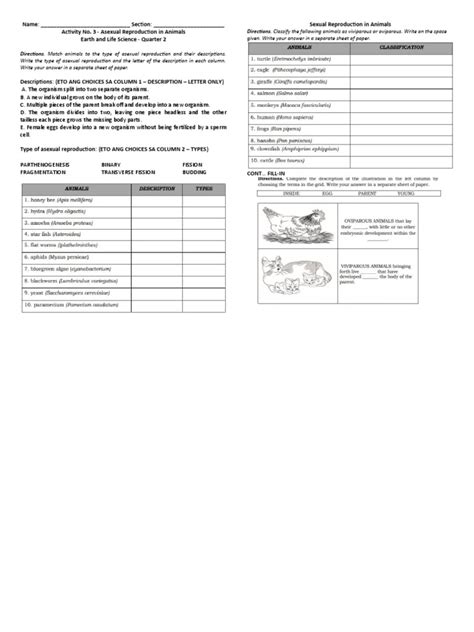 activity no 3 pdf