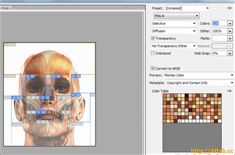 Aftabgardan آشنایی با کاربرد ابزار Slice در فتوشاپ چند تکه کردن یک عکس