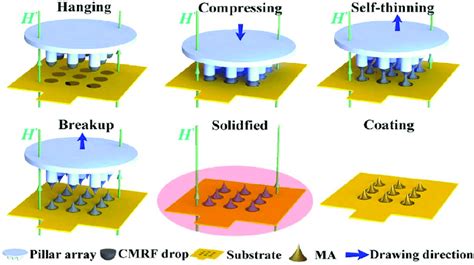 Fabrication Process Of Flexible Microneedle Array Based On Download Scientific Diagram