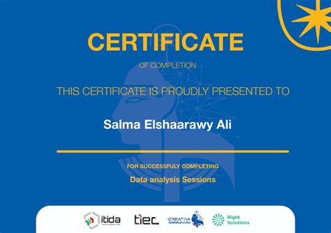 Dataanalysis Datascience Excel Learning Salma El Shaarawy 19