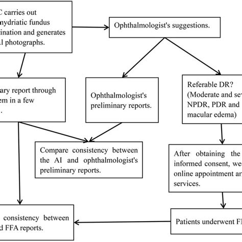 Research Flow Chart Ai Artificial Intelligence Ffa Fundus Download Scientific Diagram