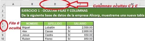 ¿cómo Ocultar O Mostrar Columnas Y Filas Conceptos Básicos De Excel