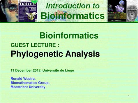 Ppt Bioinformatics Powerpoint Presentation Free Download Id 5077112