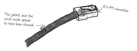 Identifying Interface And Cable Issues In Network Engineering ~ Ccie