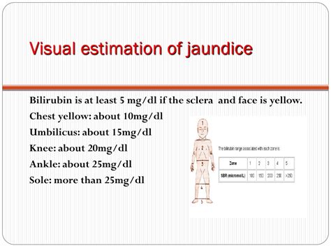 Ppt Bilirubin Metabolism Powerpoint Presentation Free Download Id