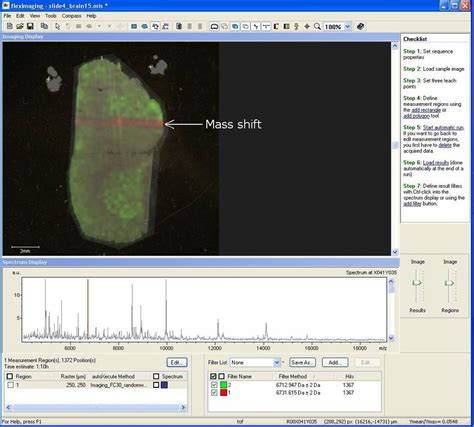 The Mass Shift Shown For Pep19 Mass 6720 Da The Green Area Download Scientific Diagram