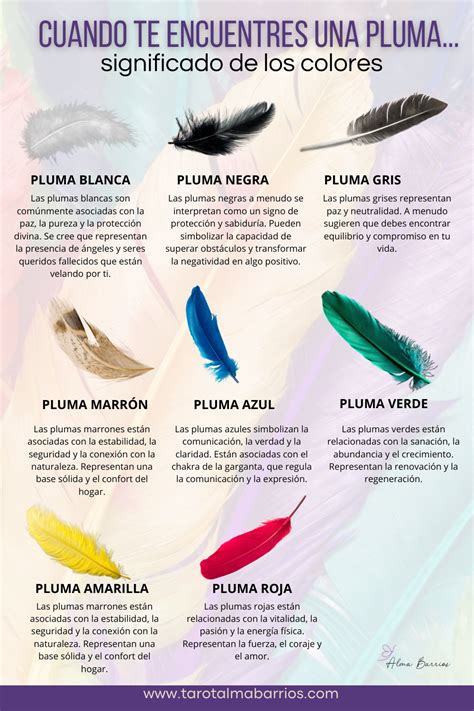 El Significado Espiritual De Los Colores De Las Plumas Que Te