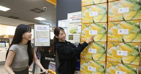 김장 재료 저렴하게이마트 ‘절임배추 사전예약 행사 진행