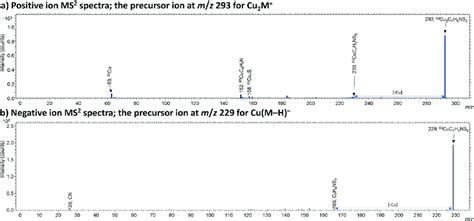 Tandem Tof Sims The Tof Sims Ms 2 A Positive And B Negative Line Download Scientific Diagram