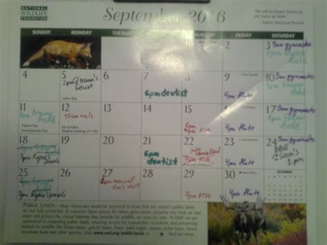 User Interface And Interaction Design An Iterative Process A Series