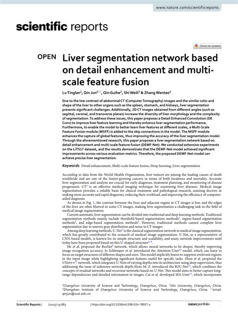 pdf liver segmentation network based on detail enhancement and multi