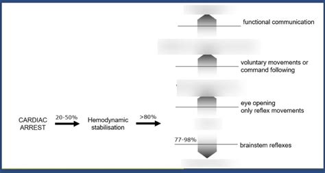 Diagram Of Trajectory Of Recovery Quizlet