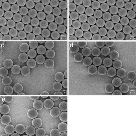 Sem Micrographs Of Different Core Shell Particles Of The Polymer Download Scientific Diagram