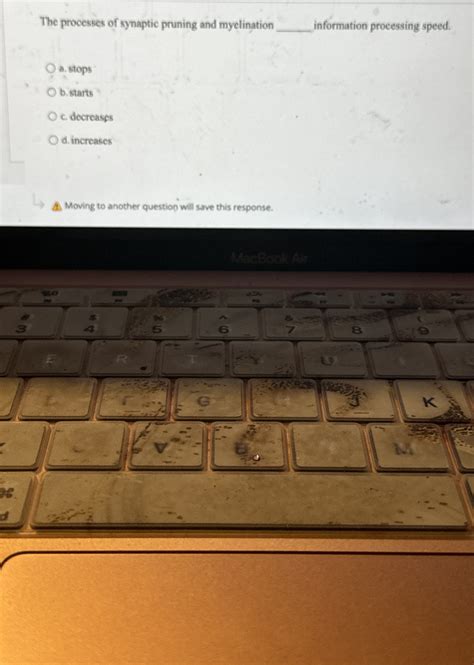 Solved The Processes Of Synaptic Pruning And Myelination