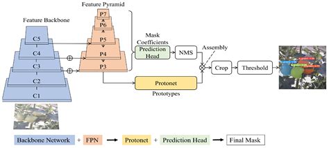Agriengineering Free Full Text Growth Monitoring Of Greenhouse Tomatoes Based On Context