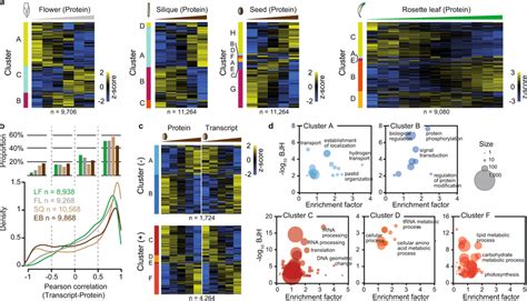 Go Enrichment And Protein Transcript Correlation A Supervised