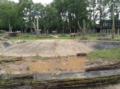 Pierrepont Gamston Primary School Reception Sparrows Class