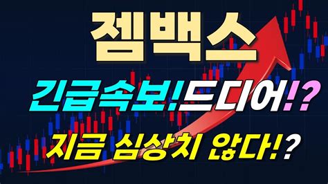 젬백스 주가전망 긴급속보 드디어 지금 심상치 않다 Youtube