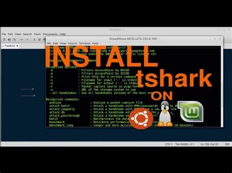 How To Install Tshark On Linux Mint Or Ubuntu YouTube