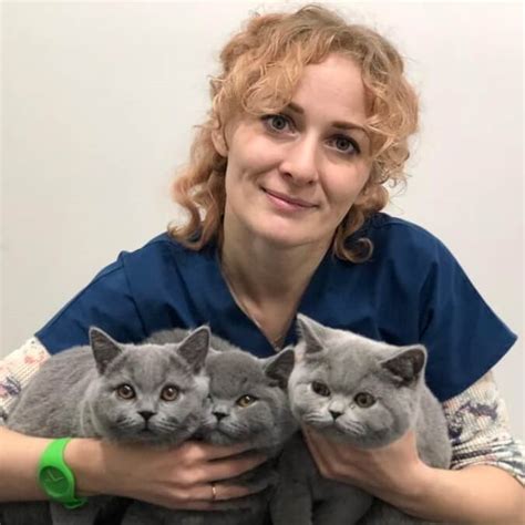 Ветклиника в Алматы Ветеринарная клиника Талисман в Алматы