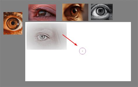 How To Add A Reference Image In Krita Imagy