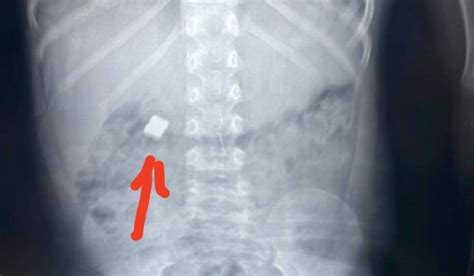 Хүүхдийн бэлэг сонгохдоо анхаараарай