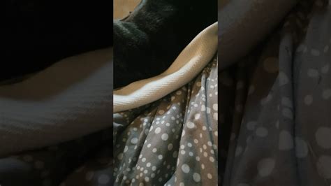 TheWrench All Content Creators Babenation YouTube TheWrench All Content Creators Babenation YouTube