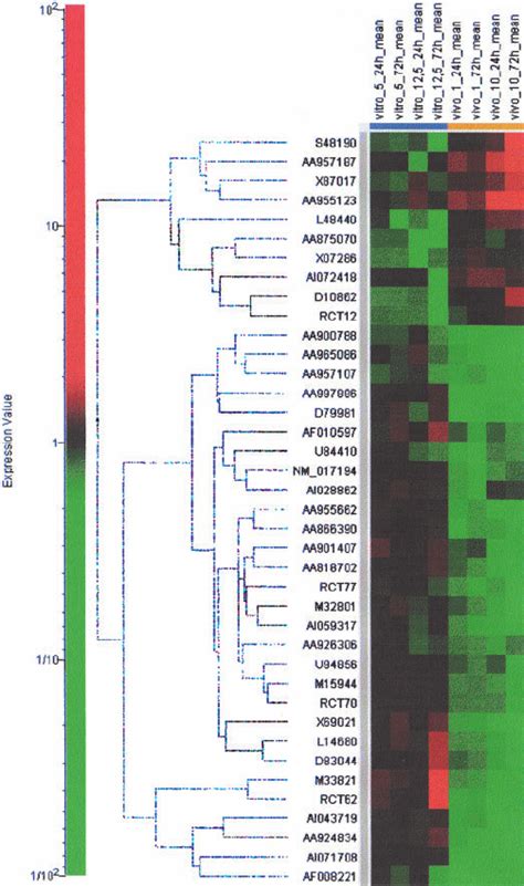 hierarchical clustering of 39 twofold differentially regulated