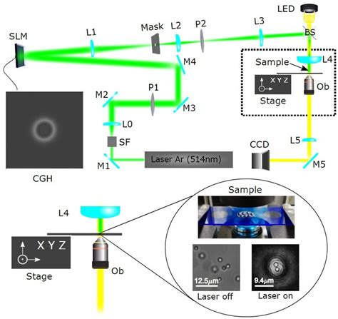 Experimental Setup Of Holographic Optical Tweezers For Optical Particle Download Scientific